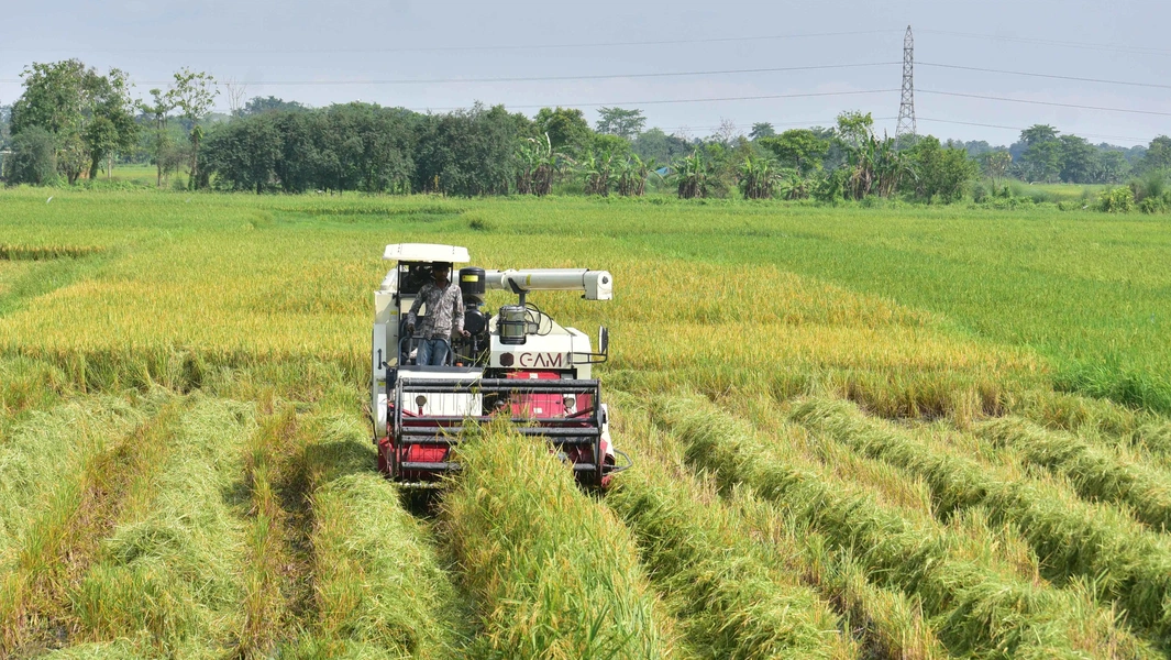 India marks record farm output as exports and credit surge