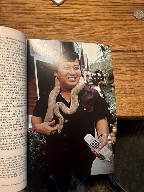 A 1981 National Geographic photo may show the albino Burmese python ...