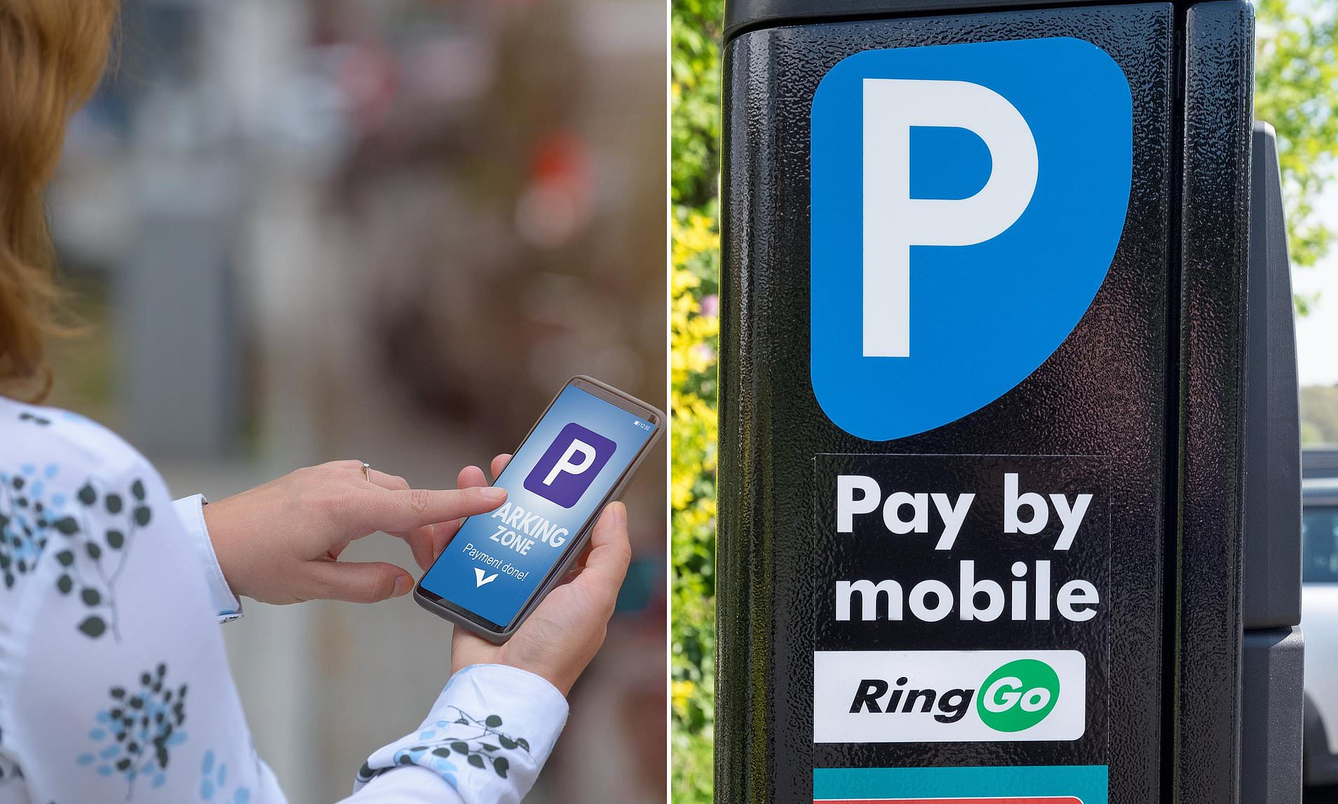 Bradshaw: Mind-numbing parking apps... why we must declare war on ...