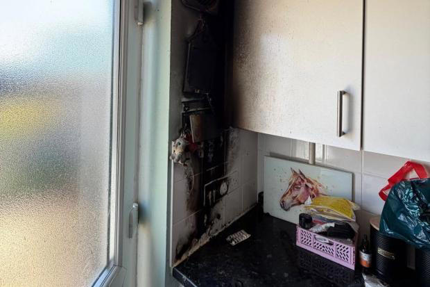 Worker putting up shed saves dogs and home from toaster blaze