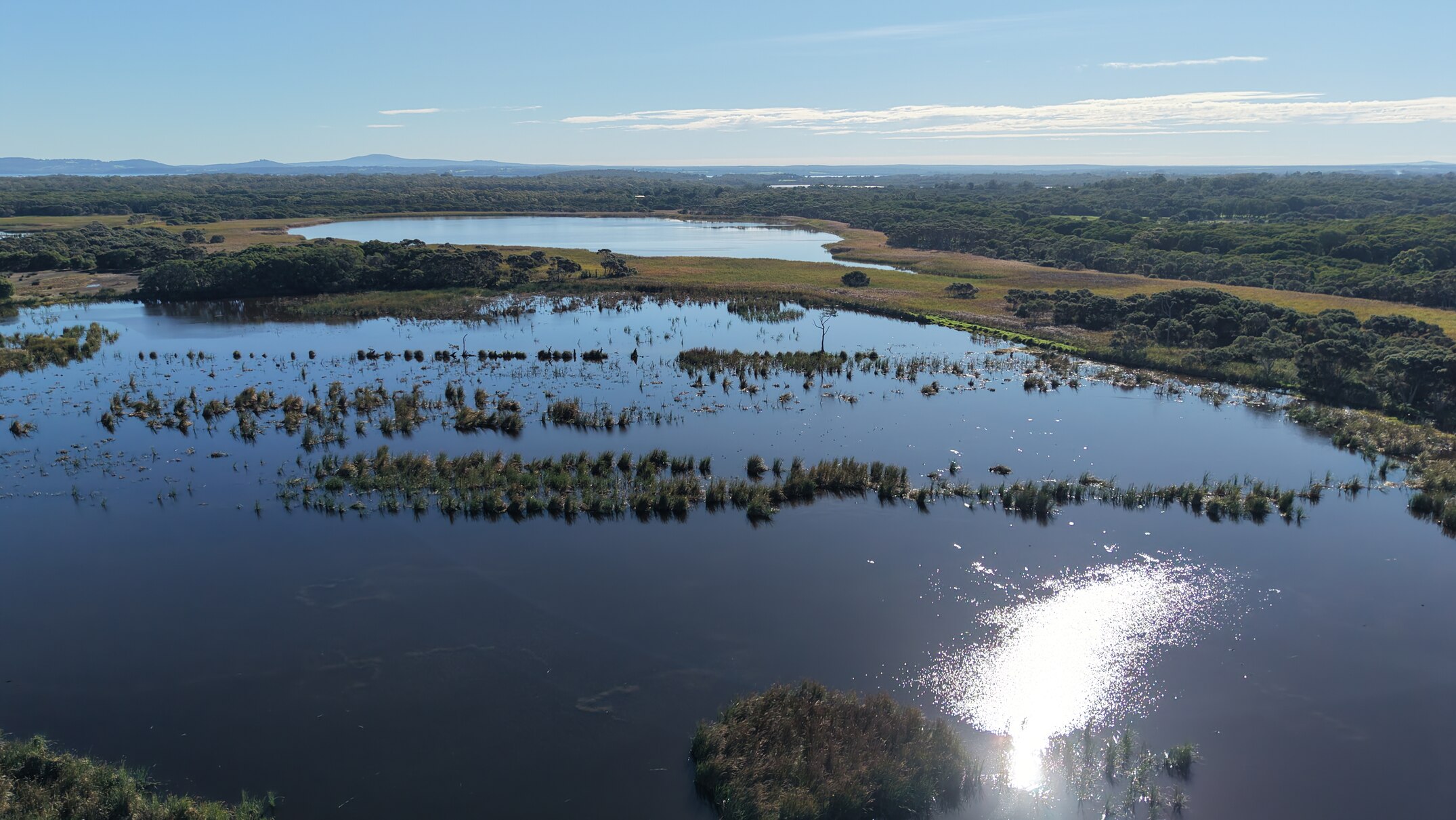 Former WA potato farm transformed into wetland sanctuary for rare and ...