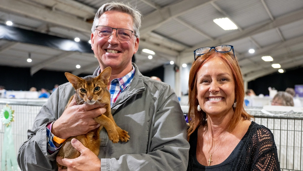 9 playful and affectionate cat breeds