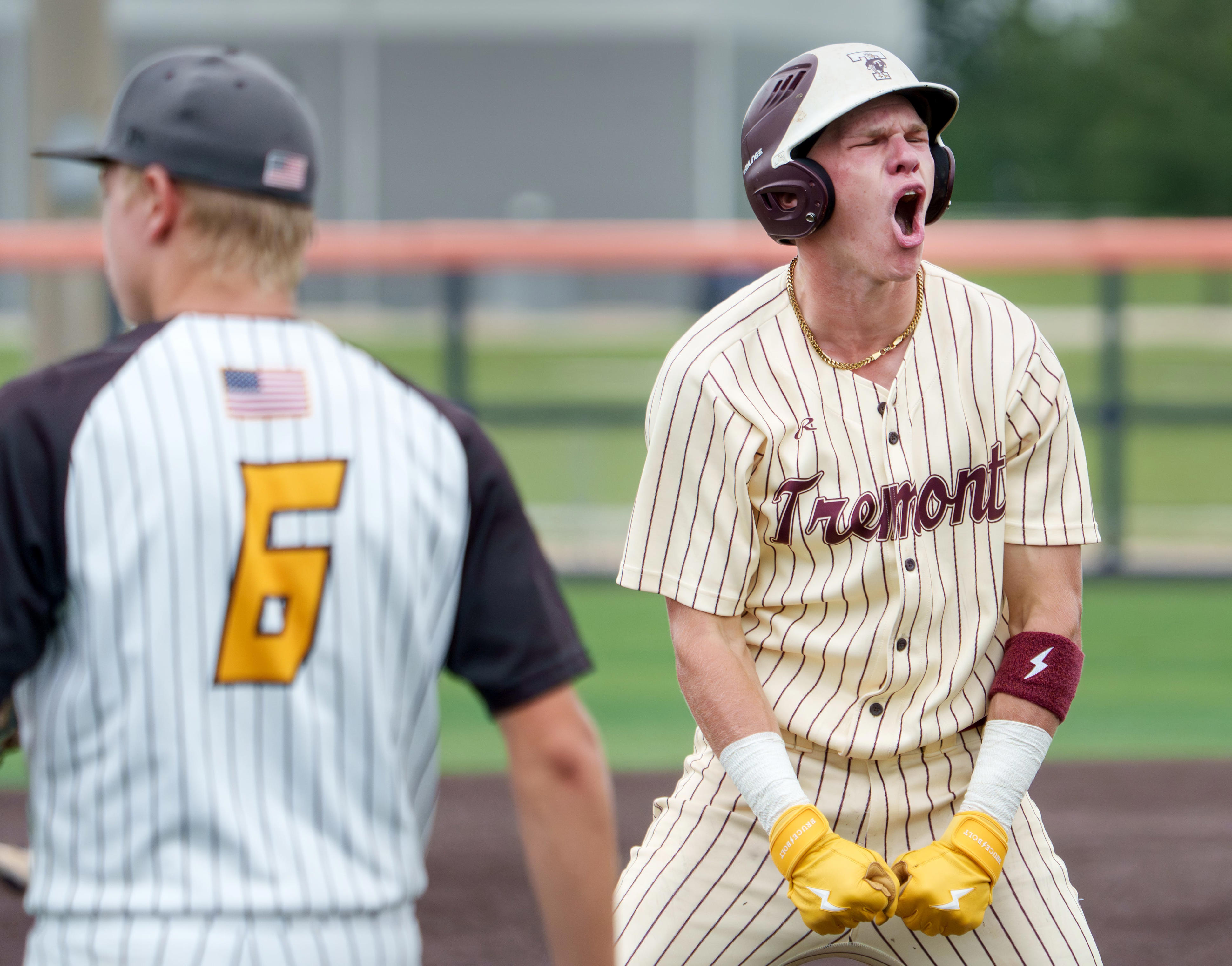Tremont baseball wins Class 1A state championship