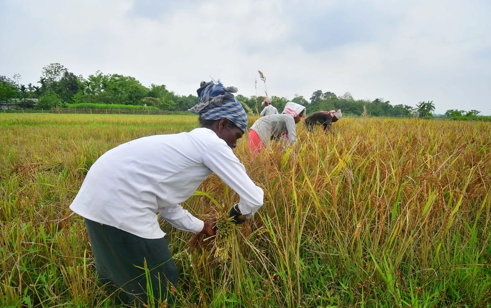 India marks record farm exports as food self-sufficiency grows