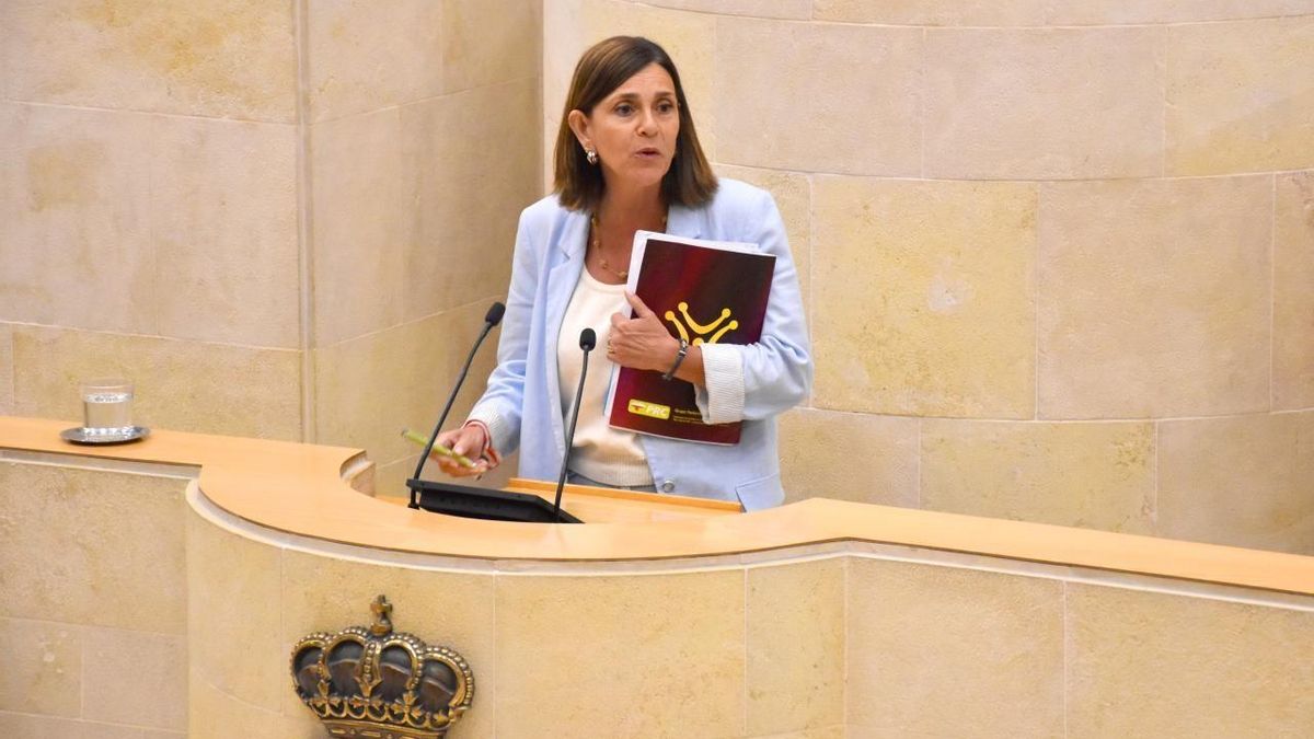 El PRC propone mejorar el salario de las cuidadoras y urge al Gobierno ...