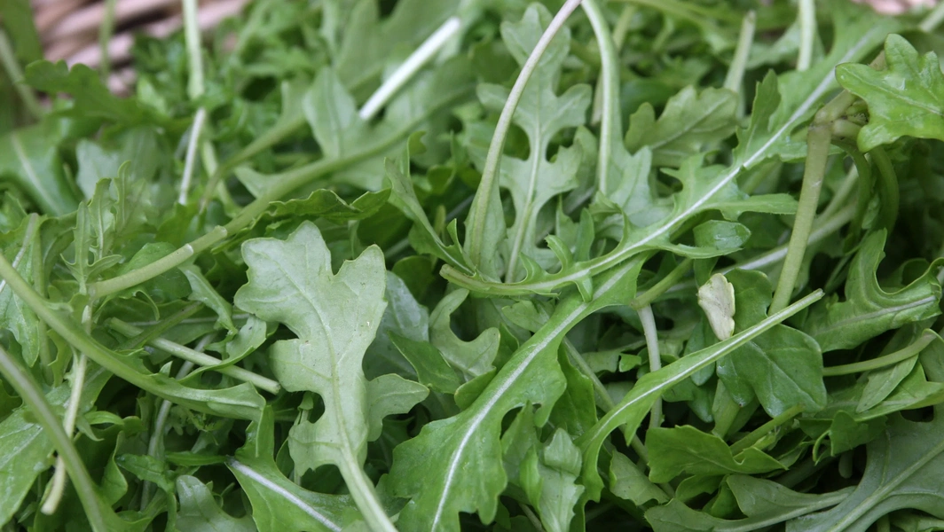 16 profitable and fast-growing crops