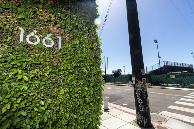 Oakland Ballers home runs keep destroying a neighbor's property ...