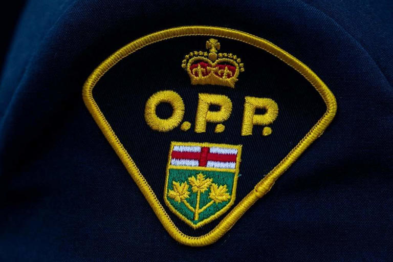 Ontario collision leaves 10 injured or killed: OPP