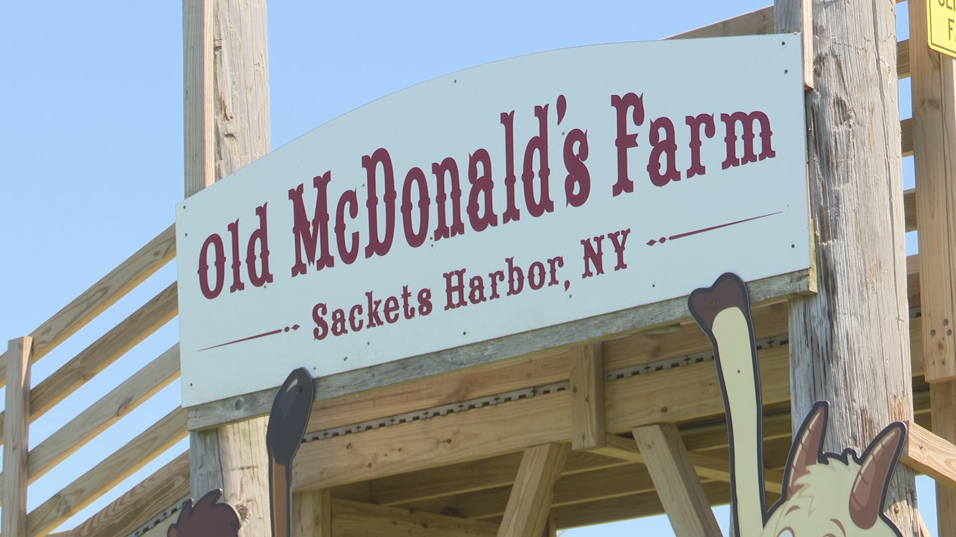 Old McDonald’s Farm celebrates forty years in business