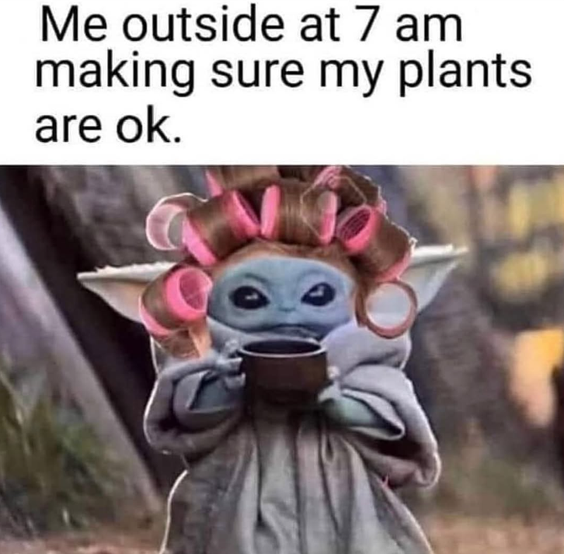 A harvest of gardening memes for green thumbs and backyard botanists