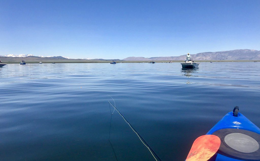 Arizona lake closed indefinitely after major loss of aquatic life