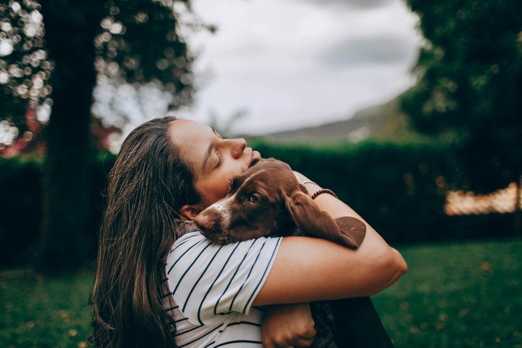Things people do that dogs typically dislike