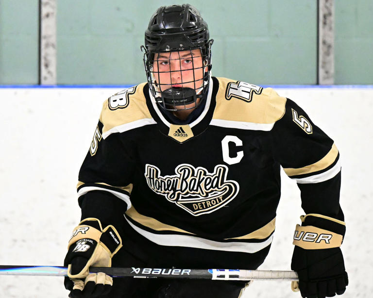 Livonia's Max Lappan is first local hockey player taken in OHL draft