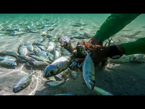 Another secret spot full of fish! 🎣😱