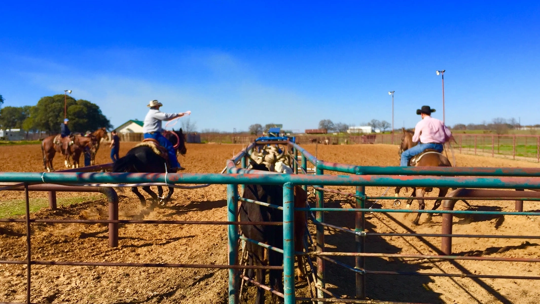 13 remarkable Texas ranches and wildlife destinations