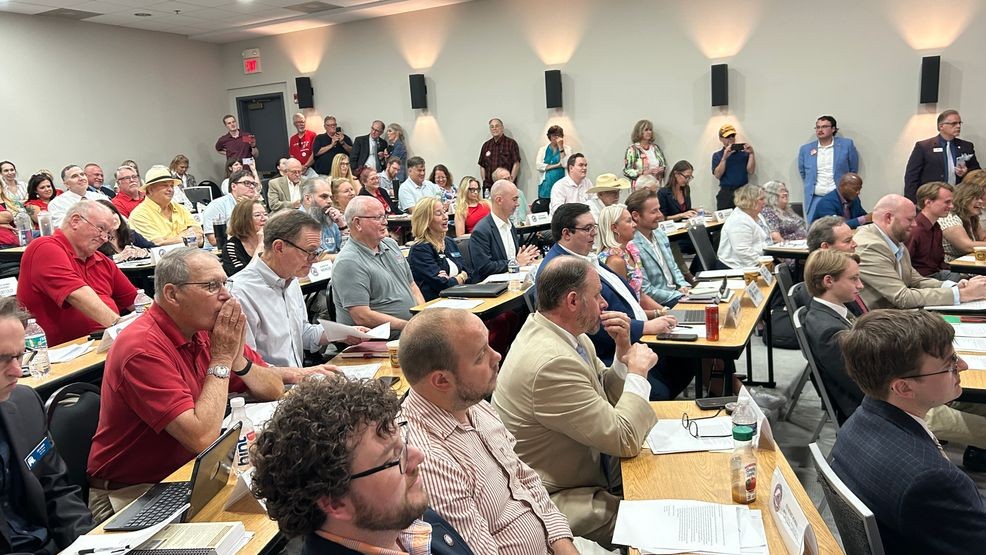 VA Republican Party State Central Committee nullifies Lynchburg ...