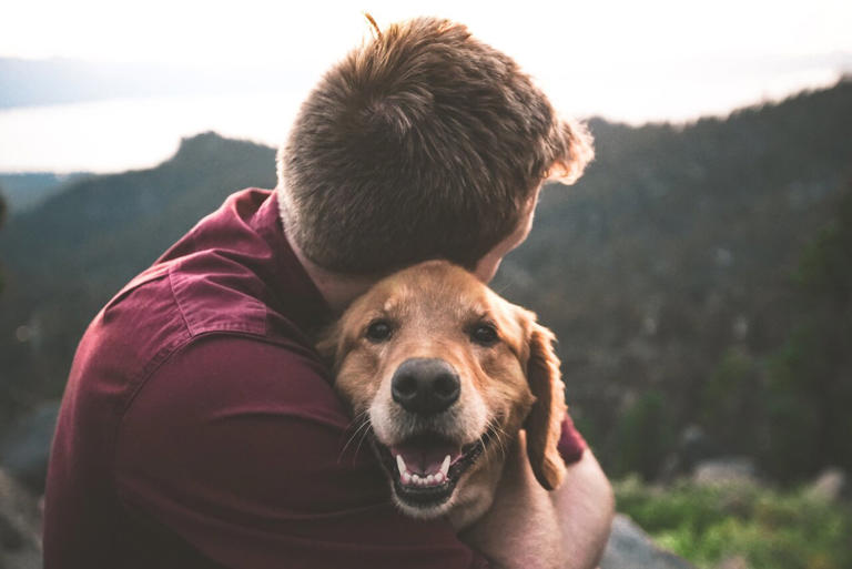 Dogs and humans are more alike than we thought, study finds