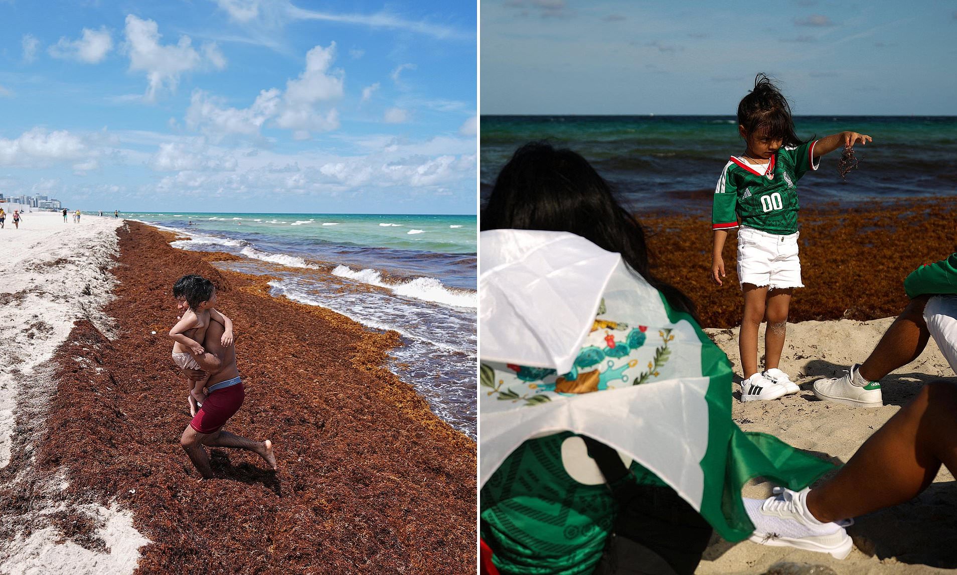 Picturesque beaches ruined by gag-inducing odor caused by record ...