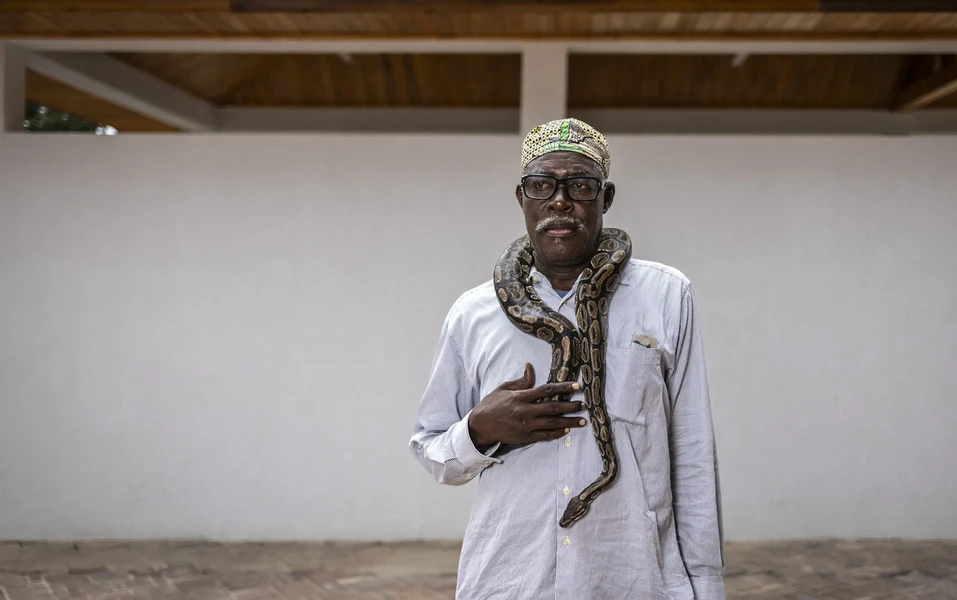 Meet Africa’s heavyweight hunter, the rock python