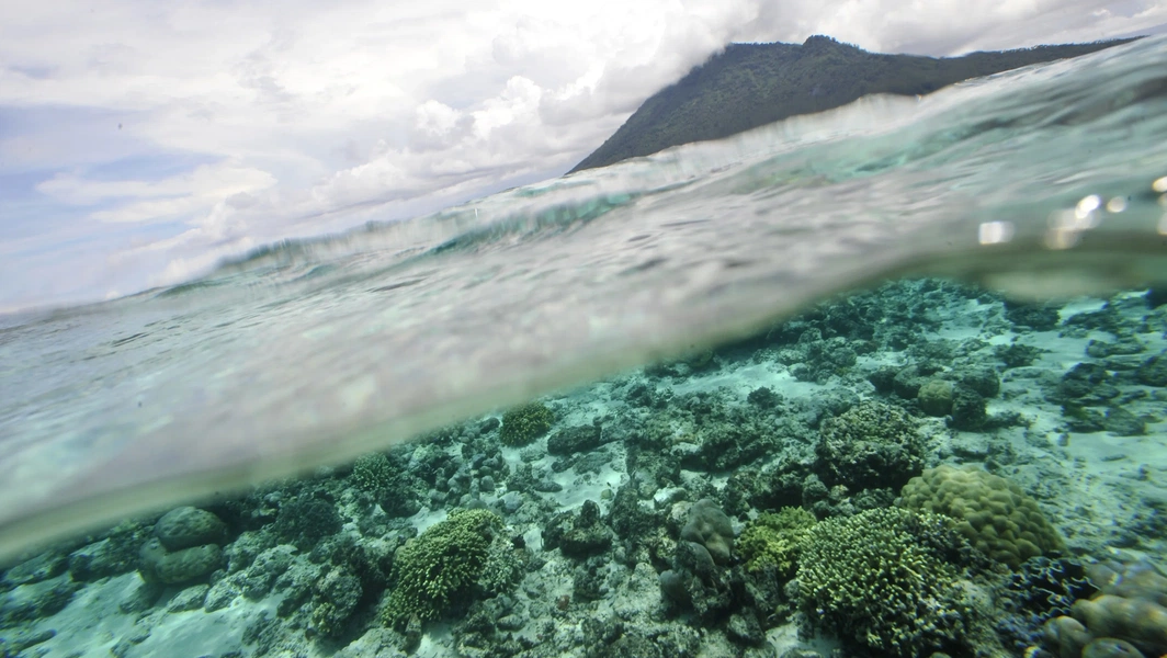 13 stunning snorkeling spots around the world