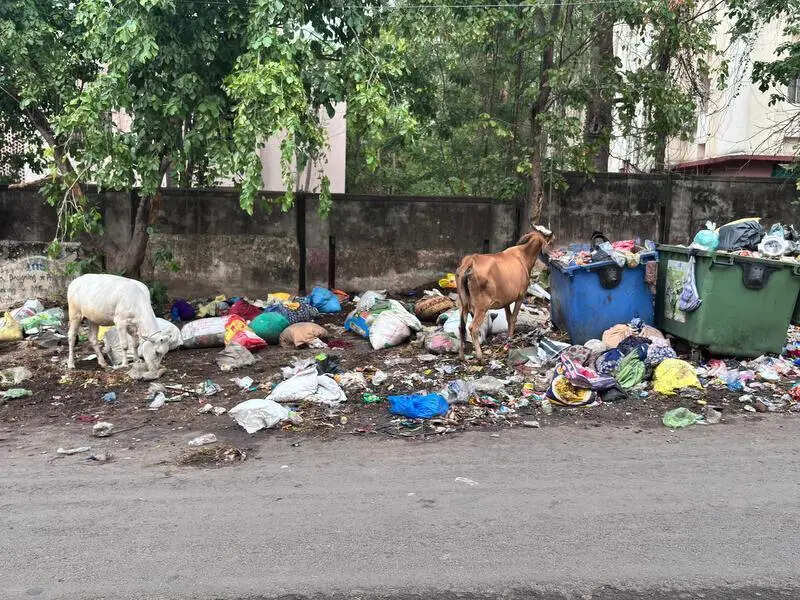 Swachhta drive meets garbage mess: Half of Nagpur without waste ...