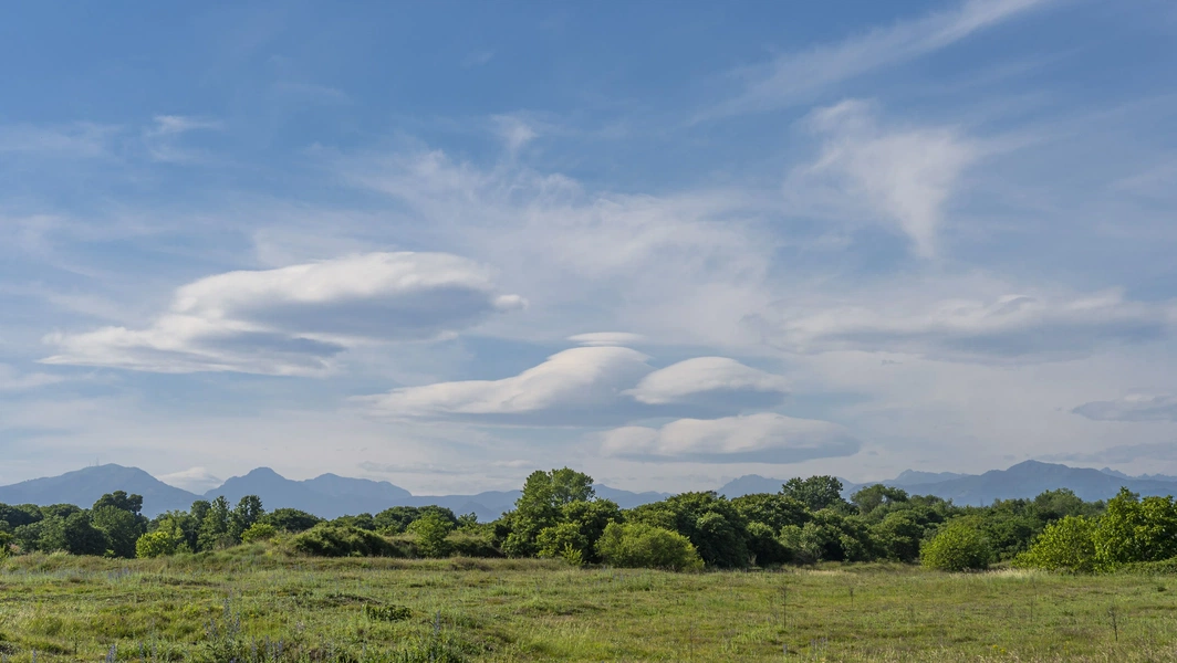 First global map reveals vast carbon-storing fungal networks