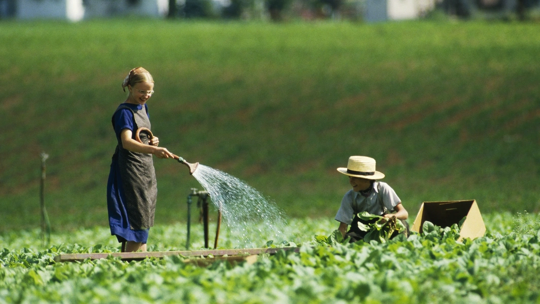 Traditions and beliefs of Amish life