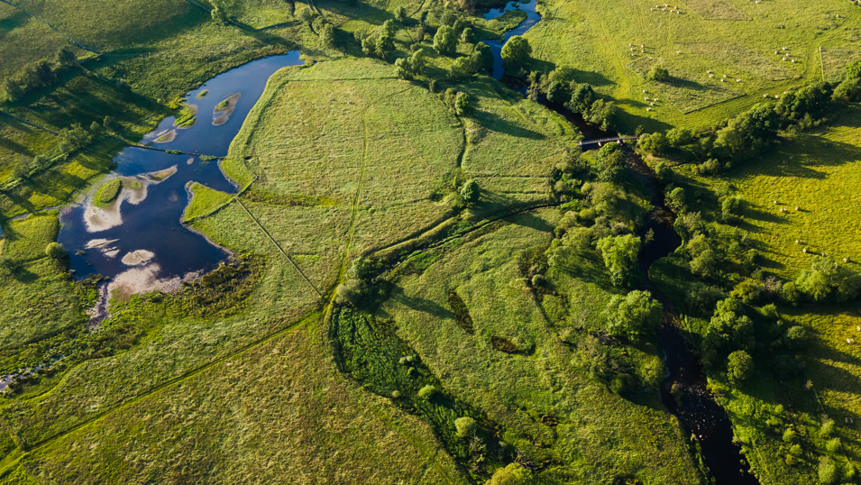 Nature festival to 'build bridges' with community
