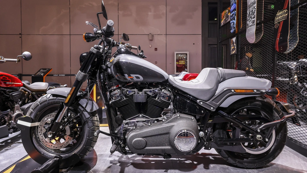 6 striking Harley-Davidson Softail motorcycles