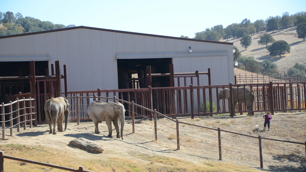 5 elephant sanctuaries and habitats in the US