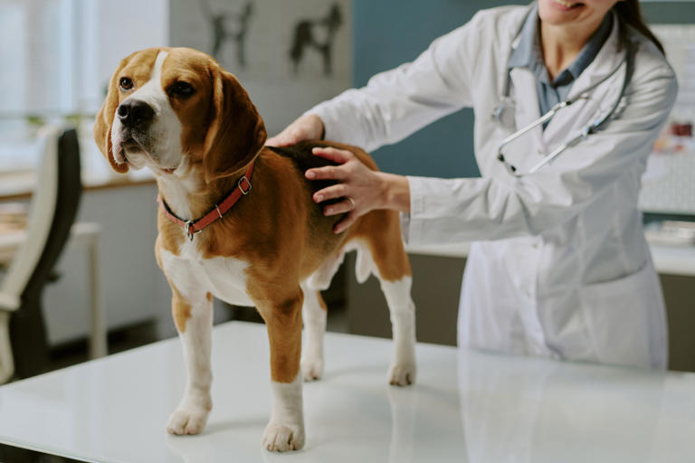 Doctors reveal the most outrageous lies their patients have told them