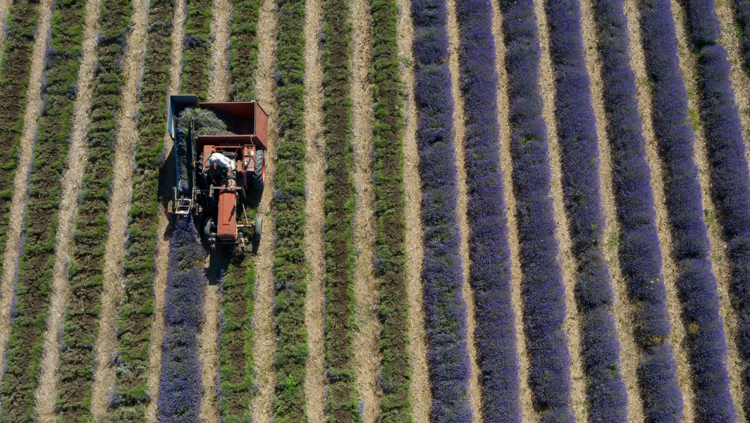 Historic New Mexico farm stays and scenic routes