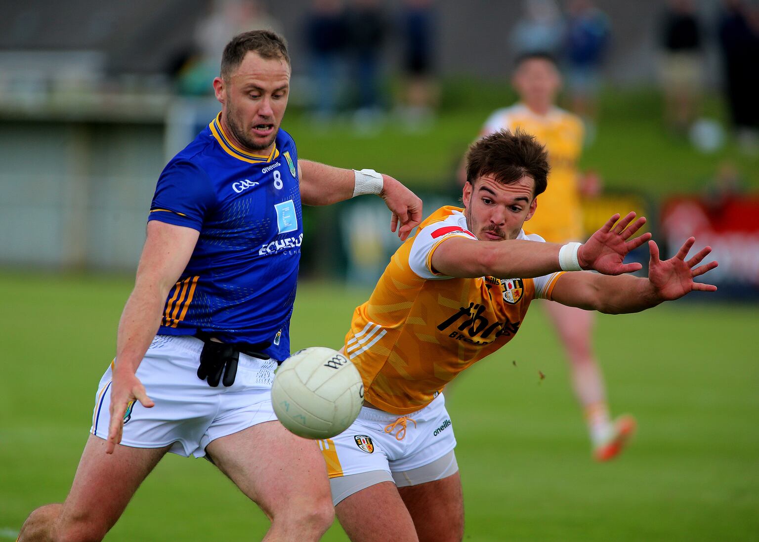 Antrim crash out of Tailteann Cup as Wicklow’s late late show earns a ...