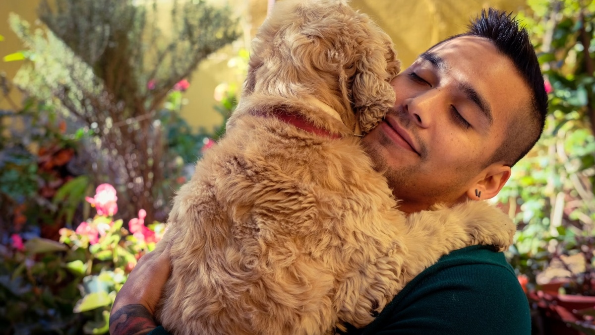 How can I tell when my dog is stressed? Here's what the American ...