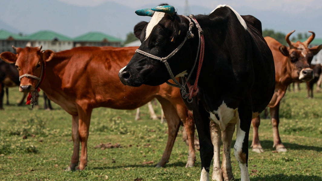 14 animals well-suited for rural living