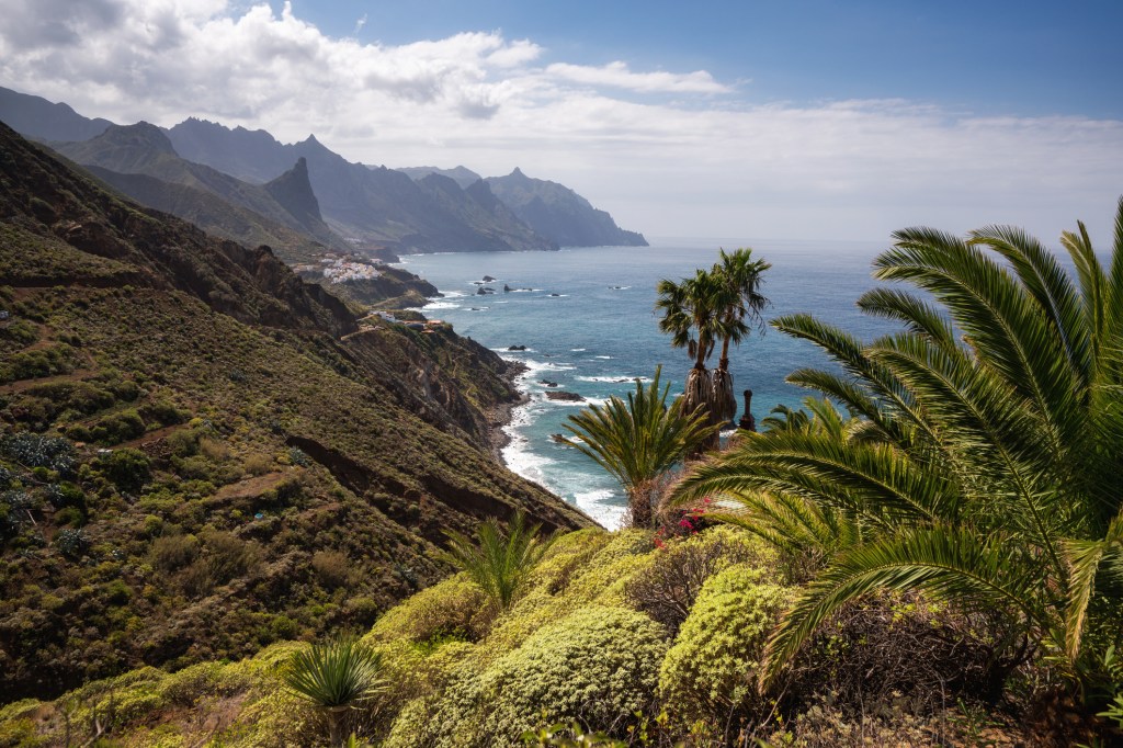 ‘I discovered the authentic side of Tenerife I never knew existed’