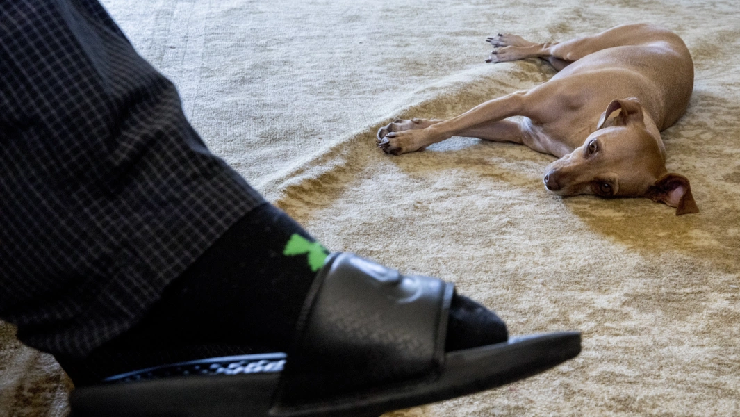 Reading your dog’s quiet love language