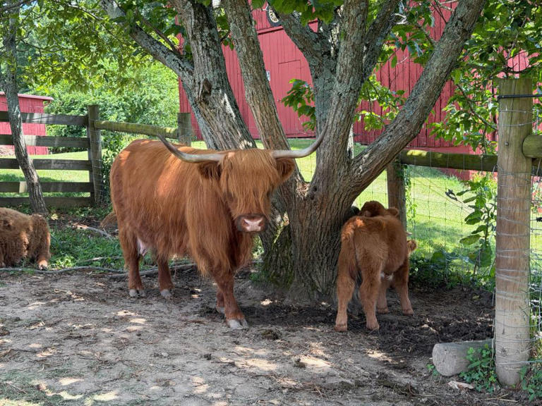 ARC&D hosts 7th annual regional farm tour across Washington and Greene ...