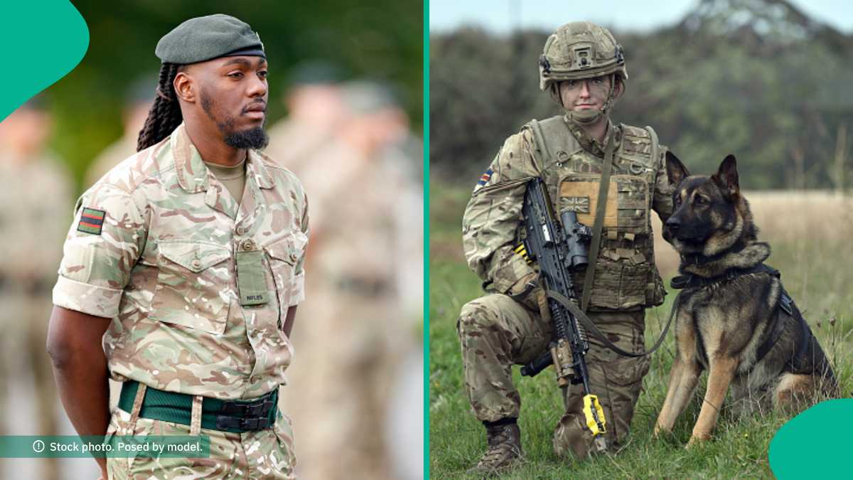 UK Army discloses earnings of dog handler, veterinary nurse and air ...