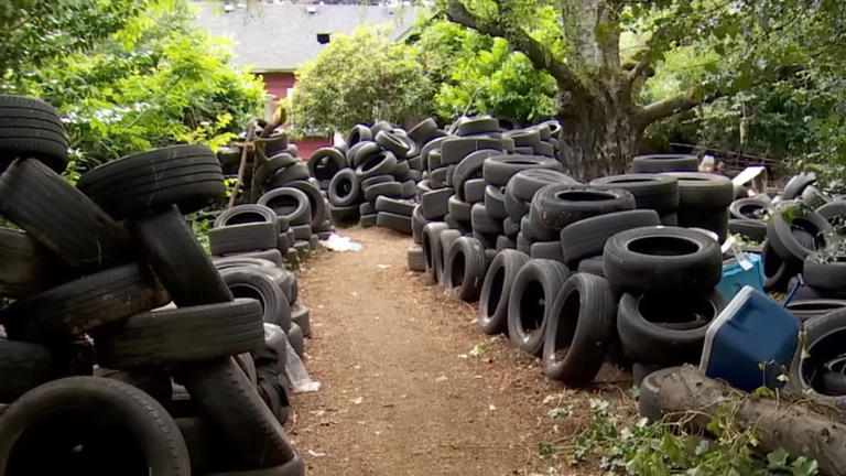 Someone illegally dumped hundreds of tires on this guy’s property ...