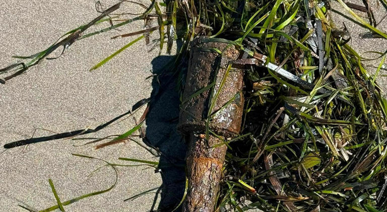 «C'è una bomba in spiaggia»: l'allarme dei turisti e l'intervento della ...