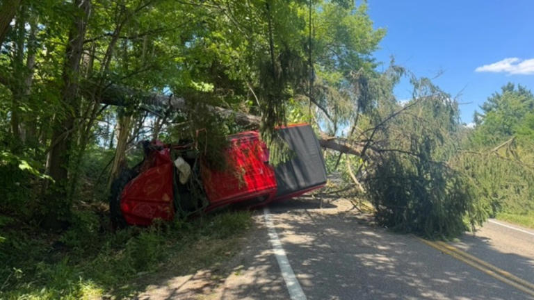 Truck crashes into tree, closes road in Austintown