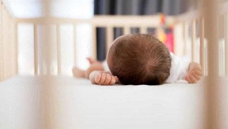 Reggio Emilia, neonato di 12 giorni intossicato dalle tisane di verbena ...