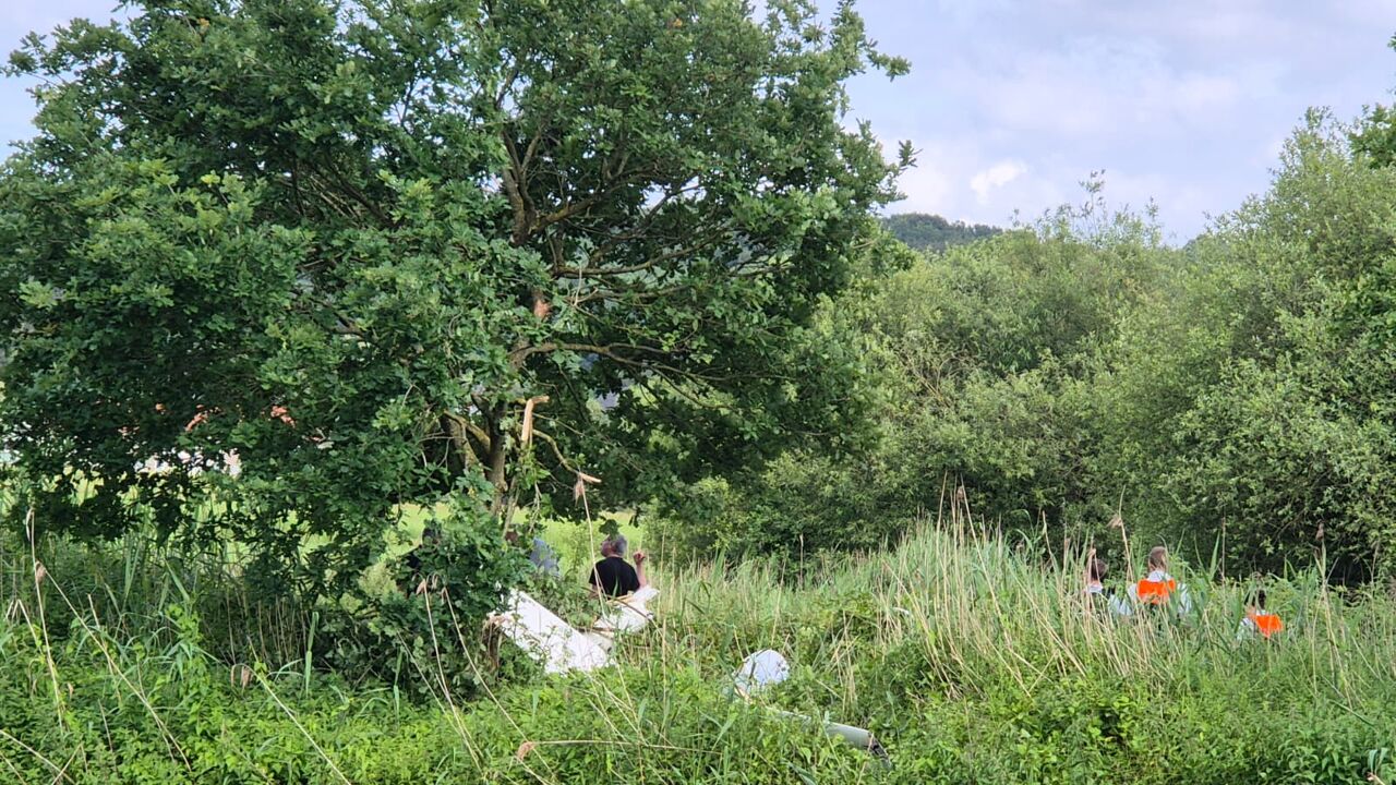 Zweefvliegtuig botst tegen boom in Geraardsbergen: piloot in kritieke ...