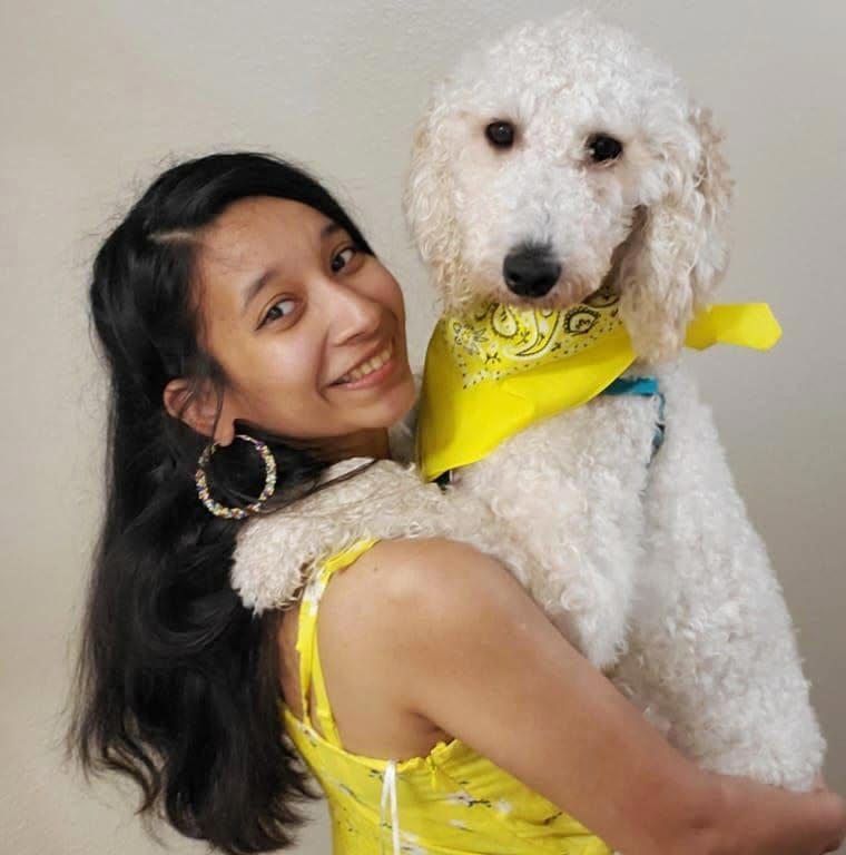 Woman survives car crash — then gets mowed down trying to save dog that ...