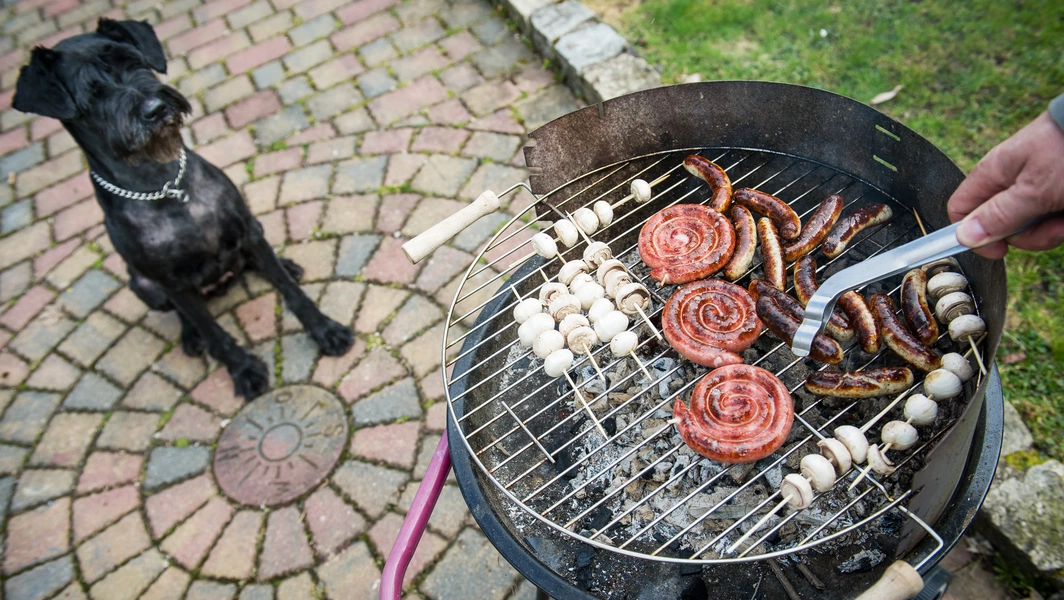 Scents dogs love and avoid