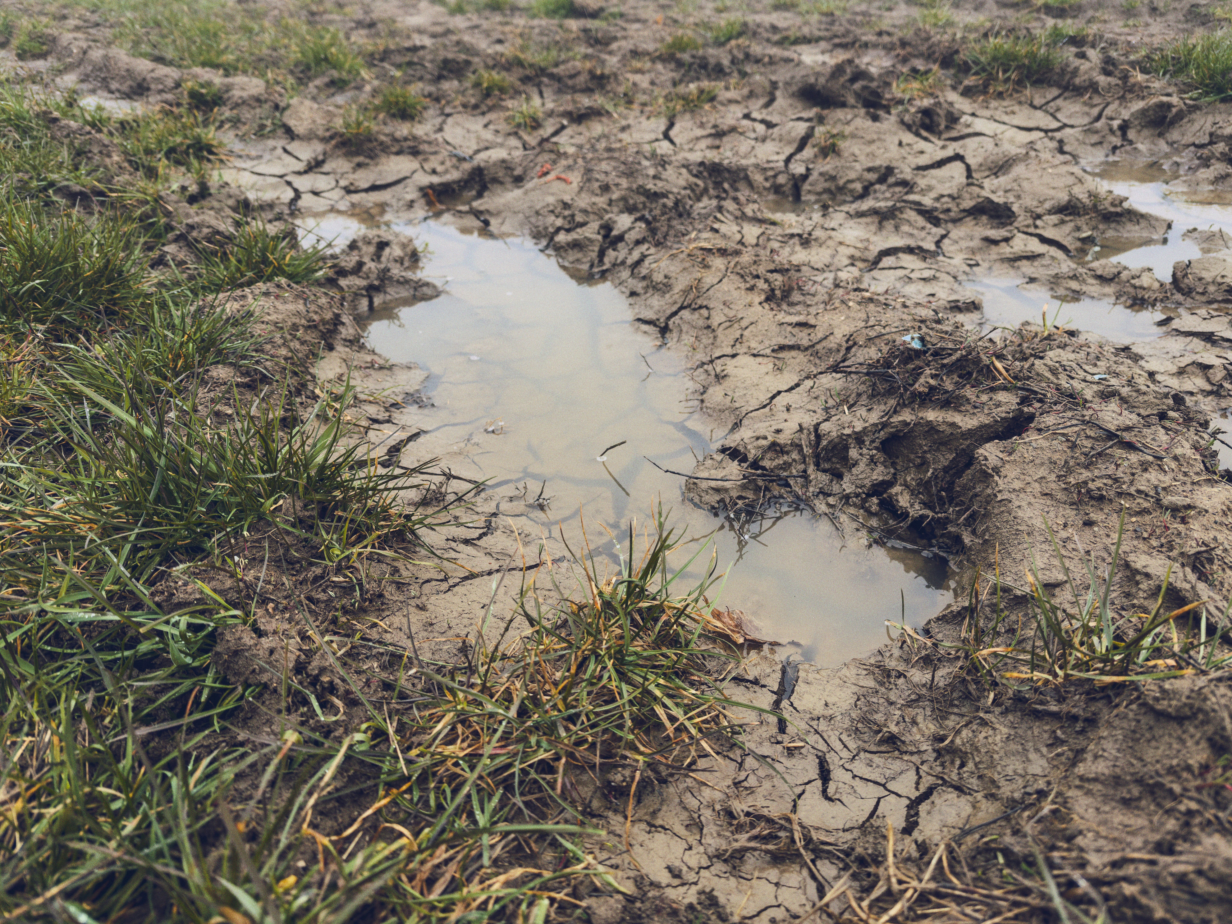 Woman missing for 3 days found alive, stuck in mud puddle 'like quicksand'