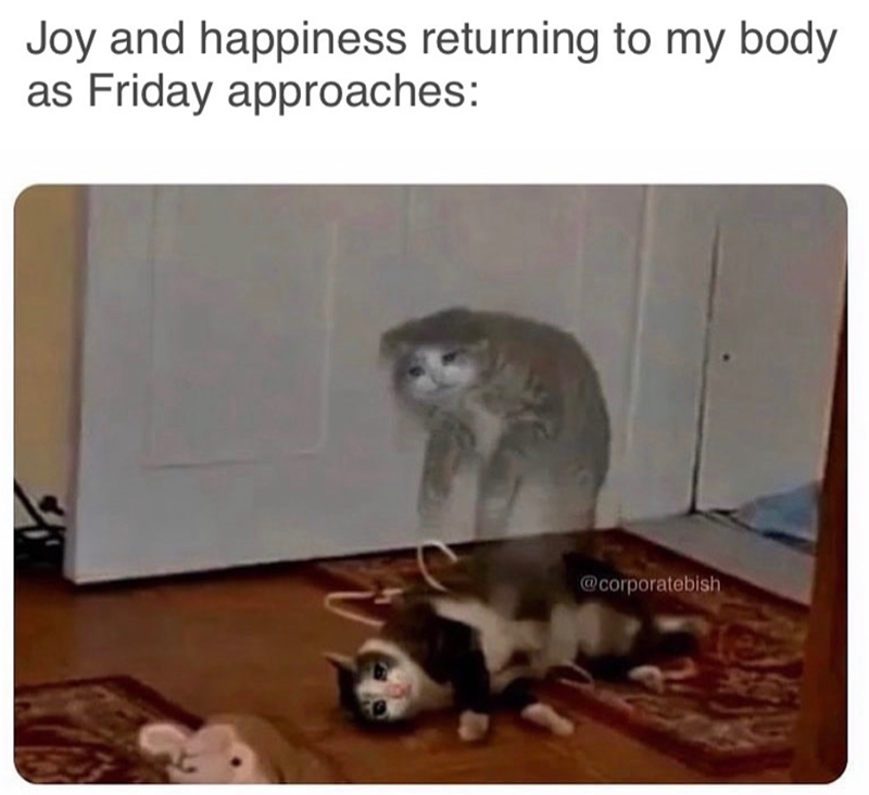 A fresh batch of 24 weekend memes for people who've already changed ...