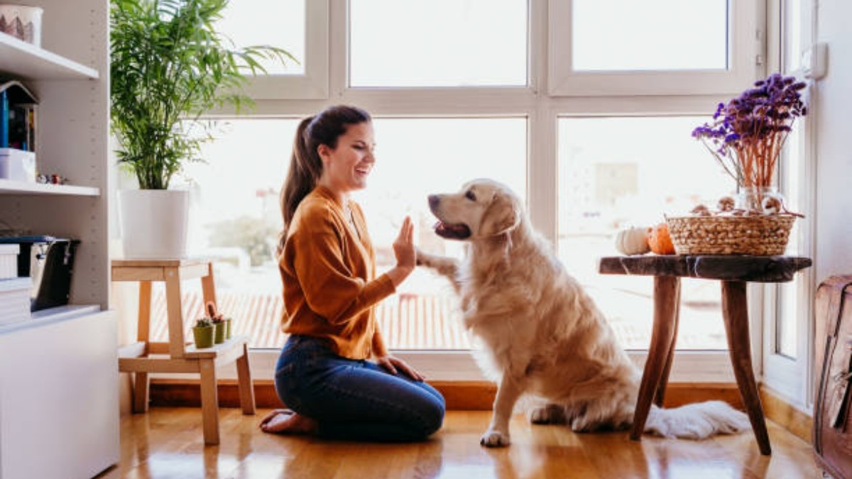 15 things dogs remember about their owners that may surprise you