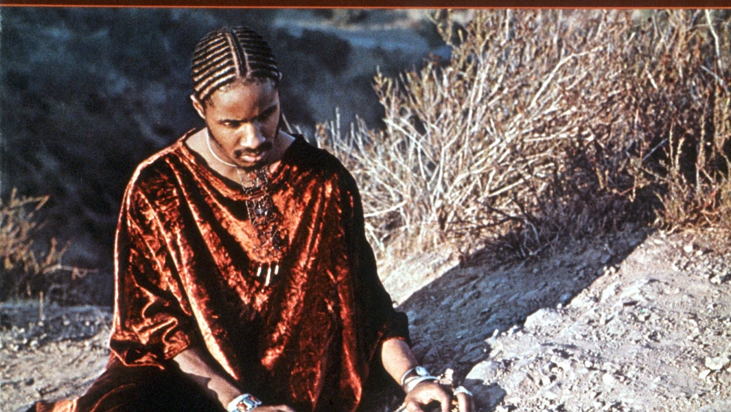 16 icons who shaped 1970s culture